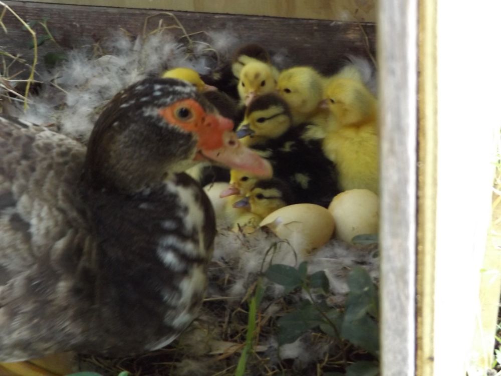 New Arrivals – Uncoffined